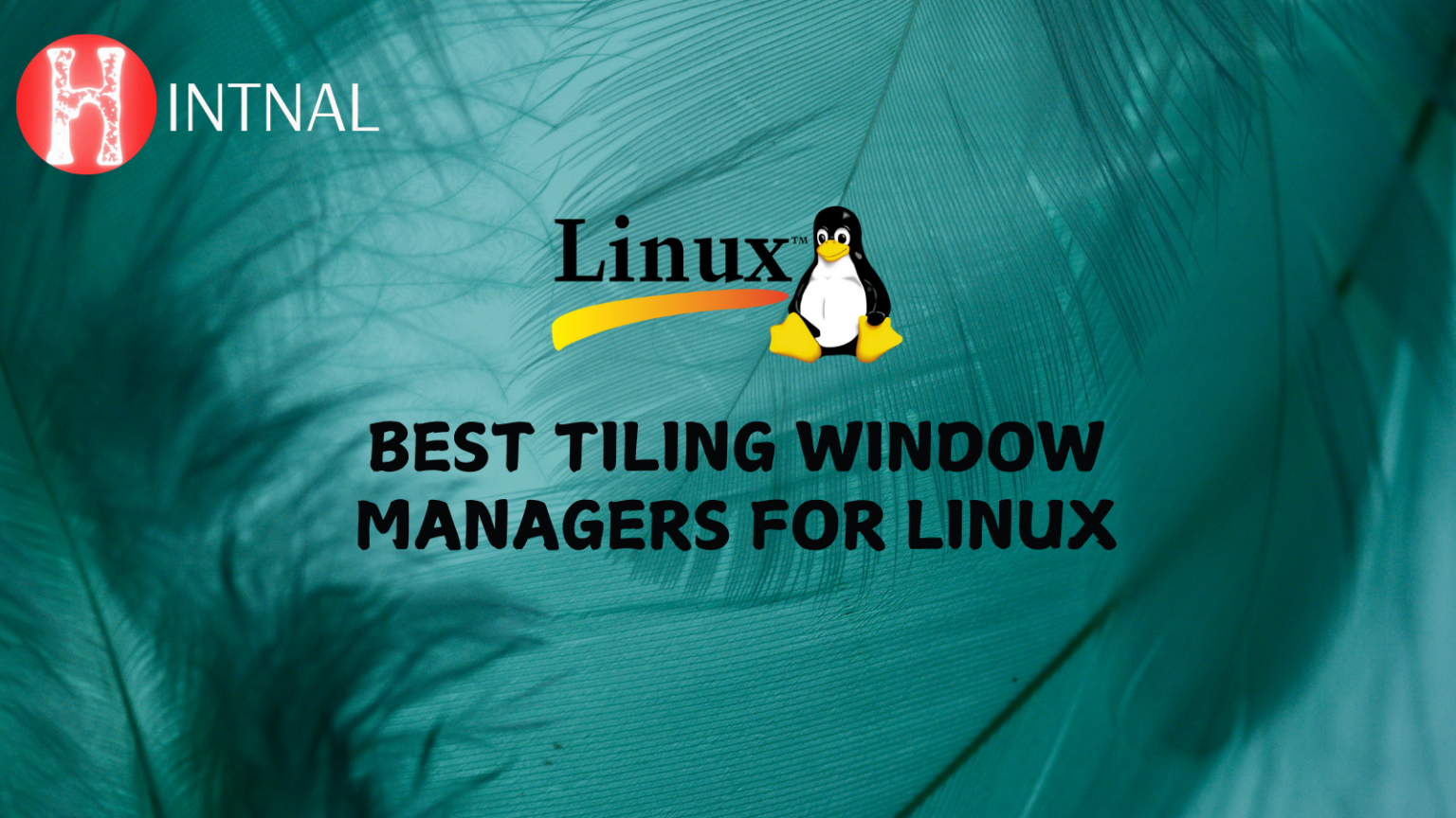 Best Tiling Window Managers For Linux: Top 5 You Need To Know | Hintnal